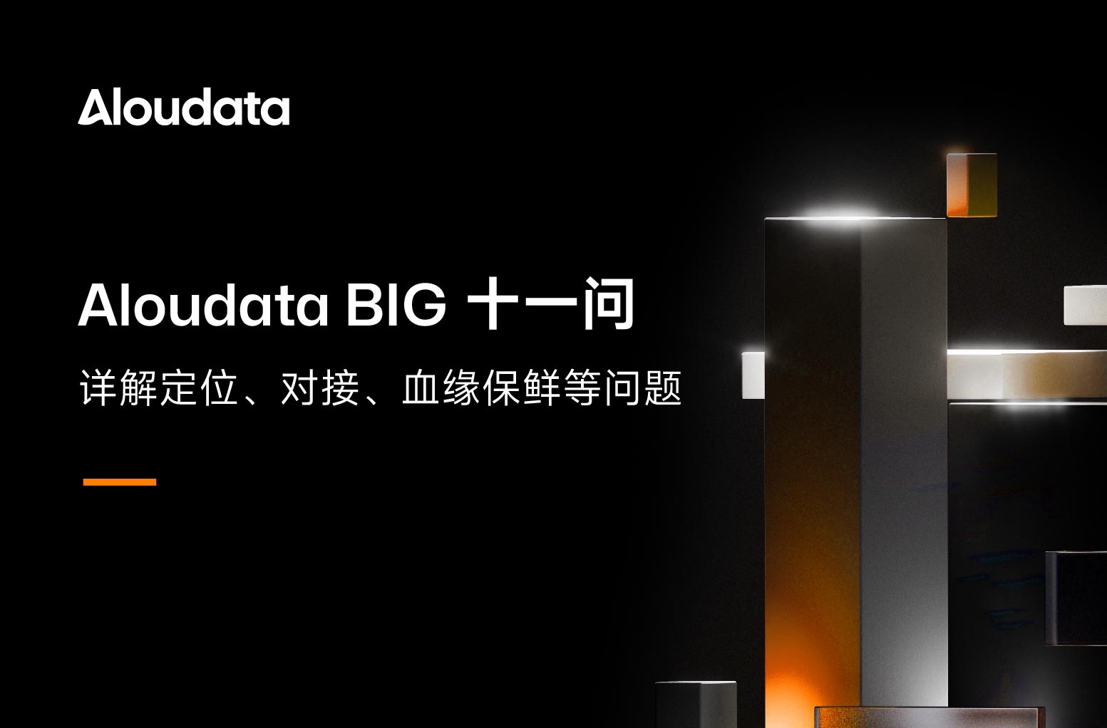 Aloudata_NoETL_中国 Data Fabric 理念与实践引领者