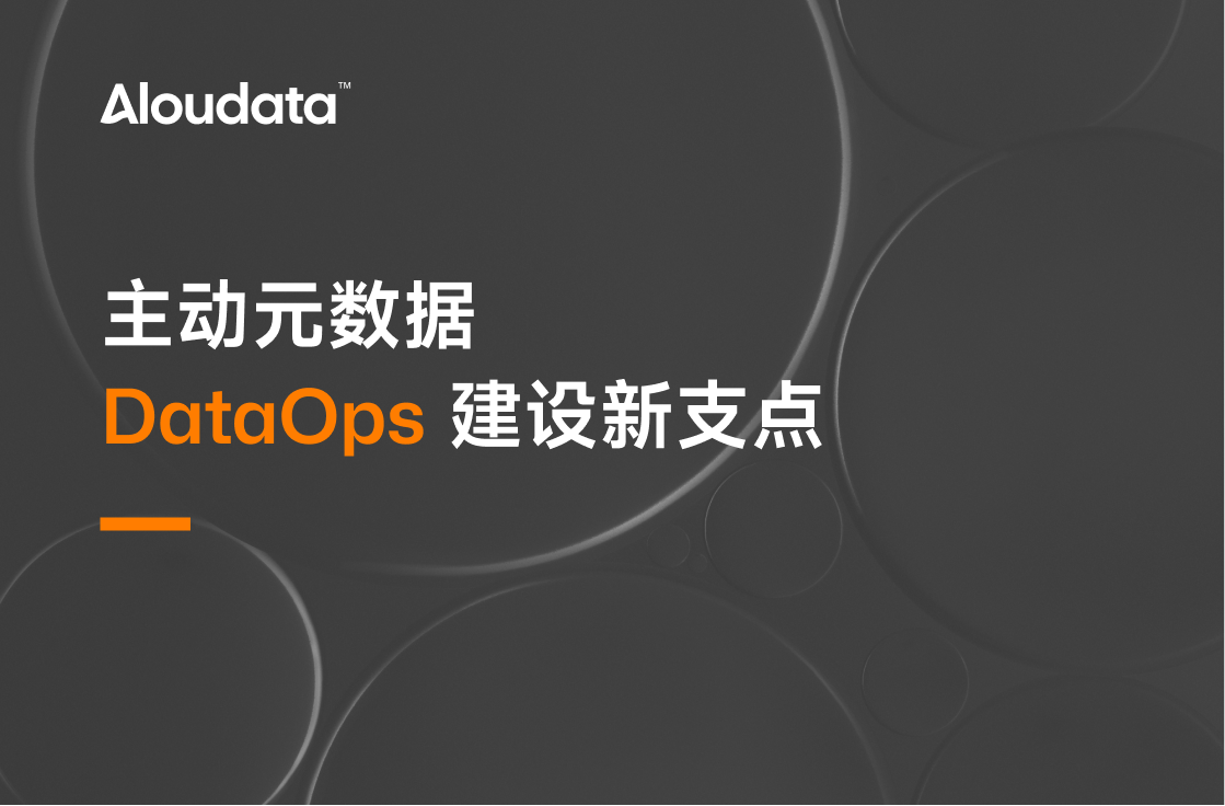 Aloudata_NoETL_中国 Data Fabric 理念与实践引领者