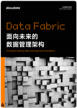Aloudata_NoETL_中国 Data Fabric 理念与实践引领者